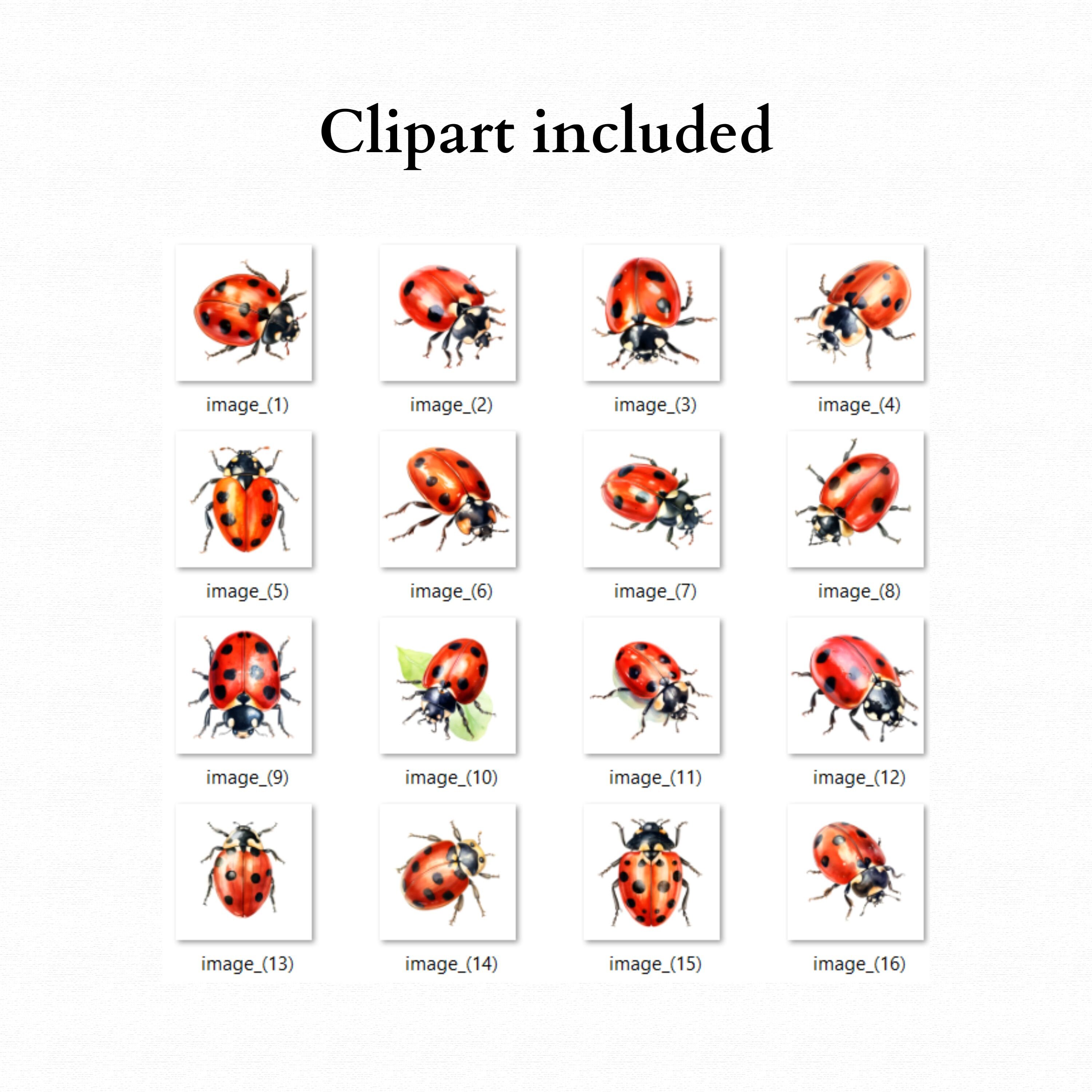 Ladybug Clipart, Ladybug Png, Insect Clipart, Silhouette, Entomology ...