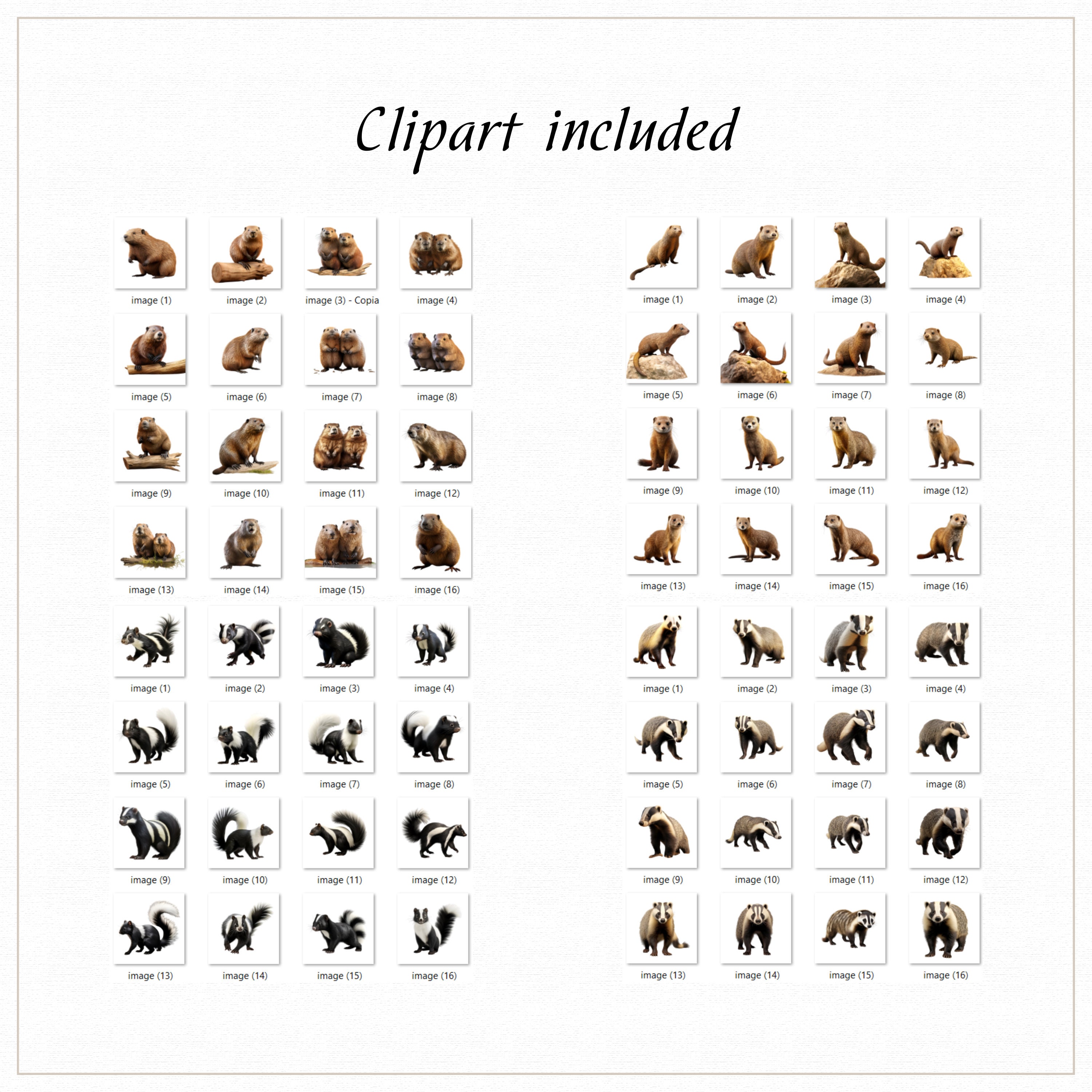 Wild Animals Clipart Bundle, Mongoose, Skunk Png, Honey Badger, Beaver ...