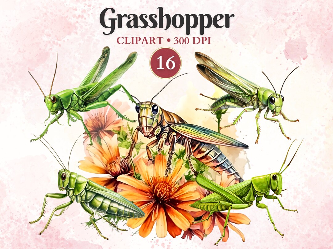 Grasshopper Clipart, Grasshopper Png, Insect Clipart, Silhouette ...