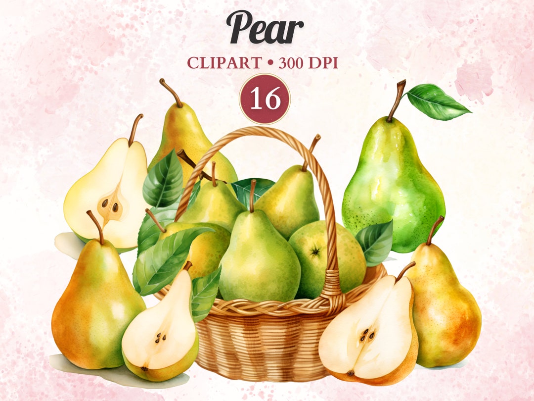 Pear Clipart, Harvest, Pear Png, Watercolor Fruit, Agriculture Clipart ...