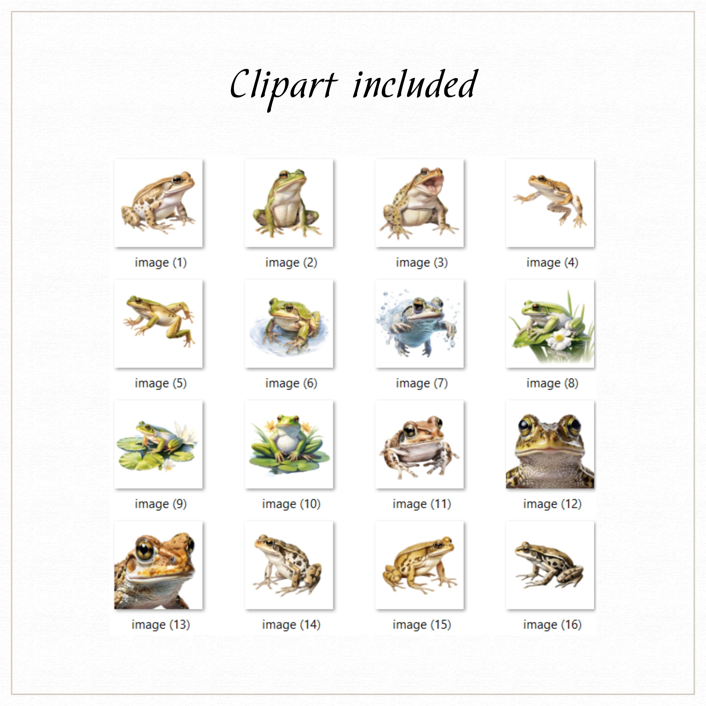 Frog Clipart, Frog Png, Frog Vector, Amphibian Clipart, Swamp, Pond ...