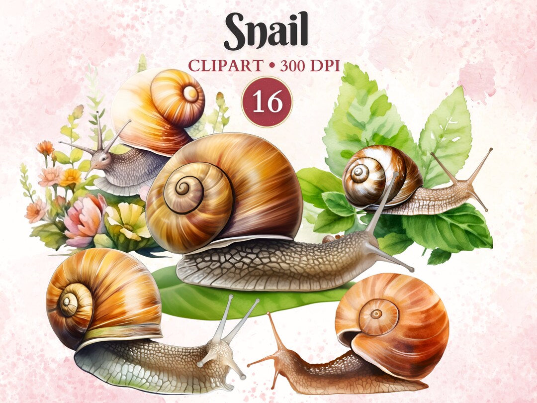 Snail Clipart, Snail Png, Snail Image, Insect Clipart, Silhouette ...