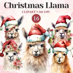 Christmas Llama Clipart, Llama Png, Cute Alpaca, Cute Animal Clipart ...