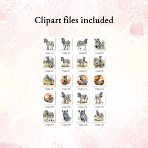 Zebra Clipart, Watercolor, Zebra Png, Safari Clipart, Safari Animal ...