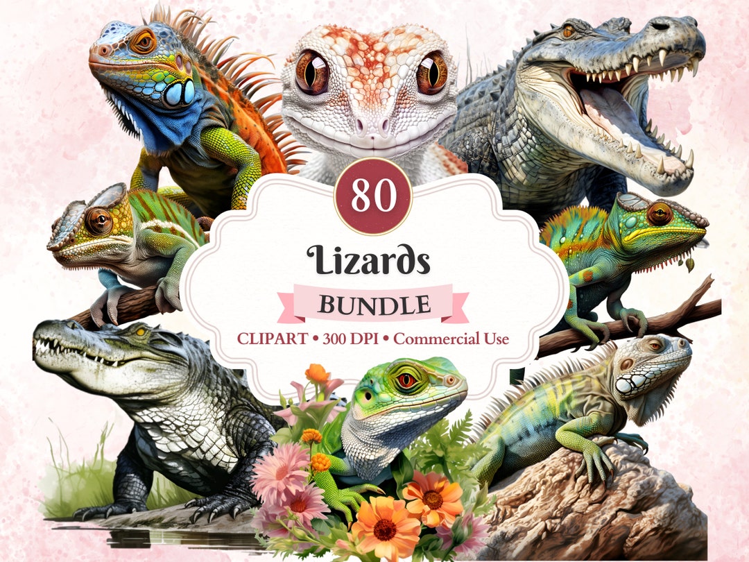 Lizards Clipart Bundle, Lizard Png, Lizard Image, Reptile Clipart ...