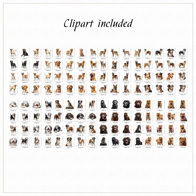 Dog Breeds Clipart Bundle: Labrador, Golden Retriever, Shepherd (PNG ...