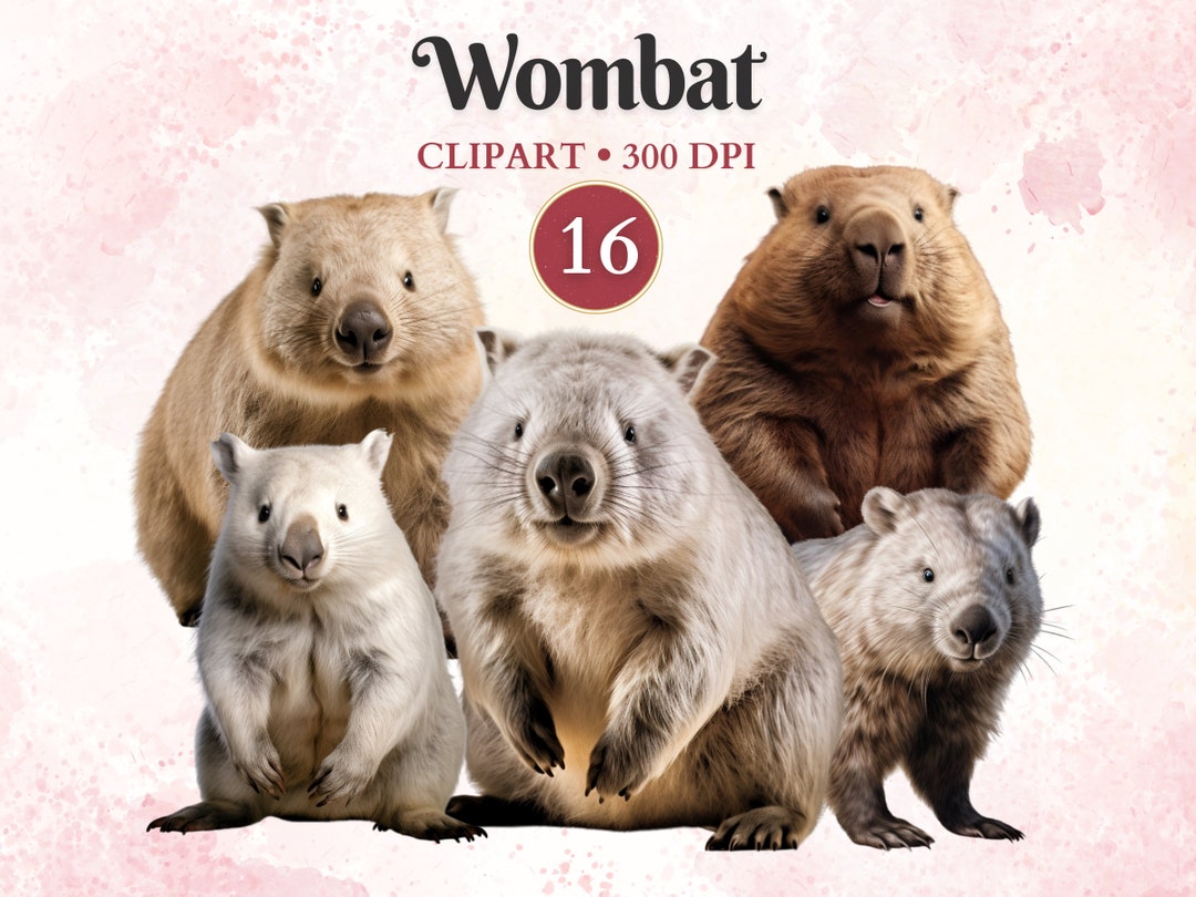 Wombat Clipart, Cute Wombat Design, Wild Animals, Wildlife Clipart ...