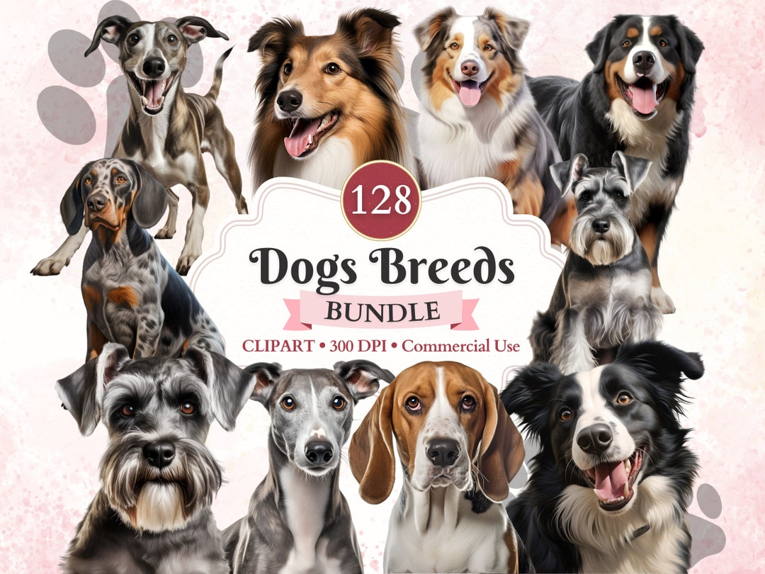 Dogs Breeds Clipart Bundle, Border Collie, Sheltie, Bernese Mountain ...