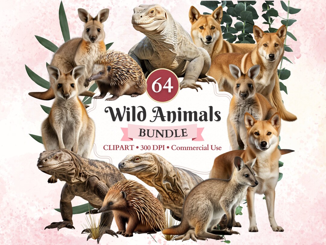 Wild Animals Clipart Bundle, Australian Wildlife, Dingo, Wallaby ...