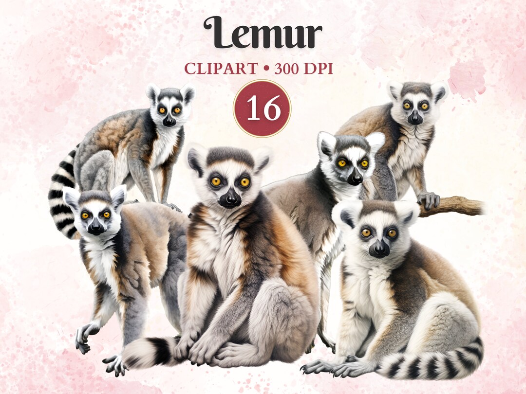 Lemur Clipart, Lemur Png, Jungle Animals, Monkey Png, Safari Animals ...