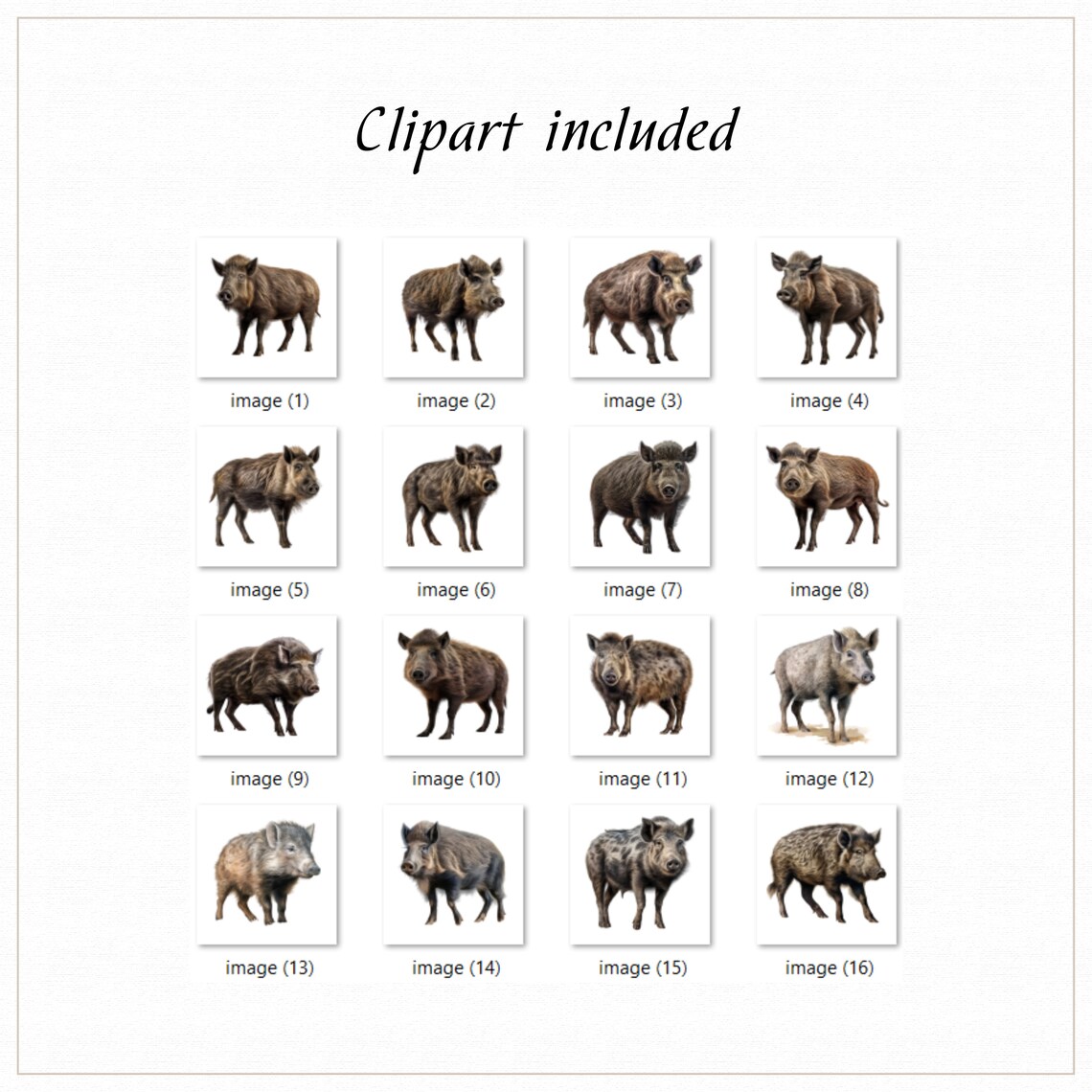 Wild Boar Clipart, Wild Animals, Boar Vector, Wildlife Clipart, Forest ...