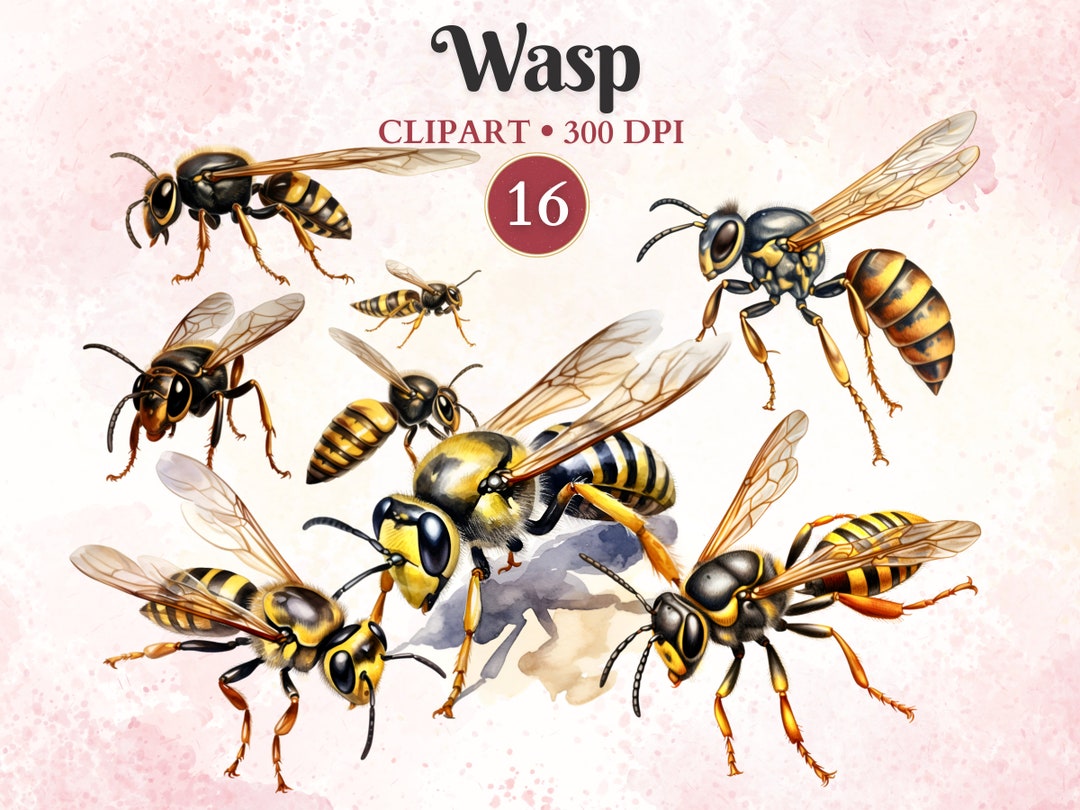 Wasp Clipart, Wasp Png, Wasp Image, Insect Clipart, Silhouette ...