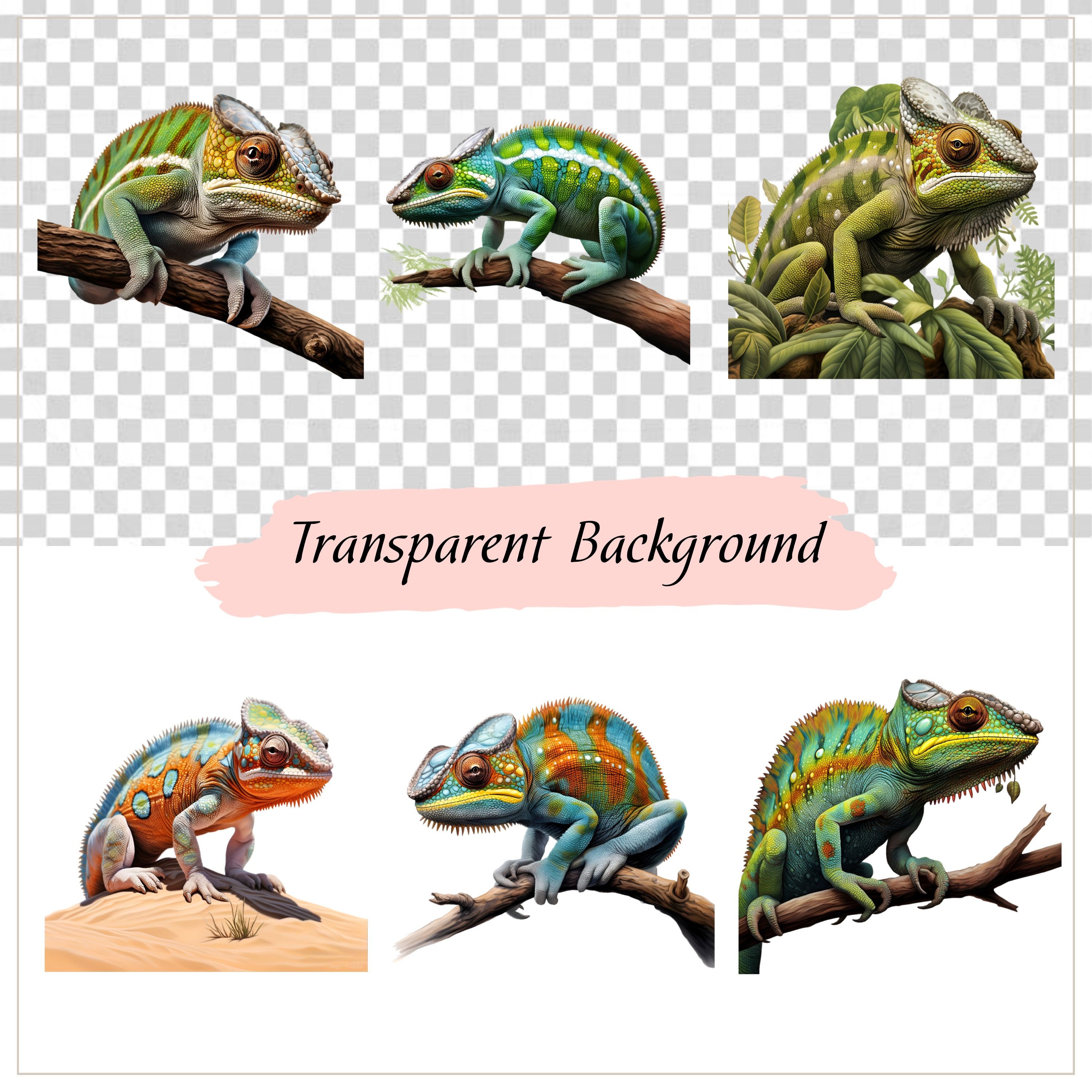 Chameleon Clipart, Chameleon Png, Lizard Clipart, Lizard Silhouette ...