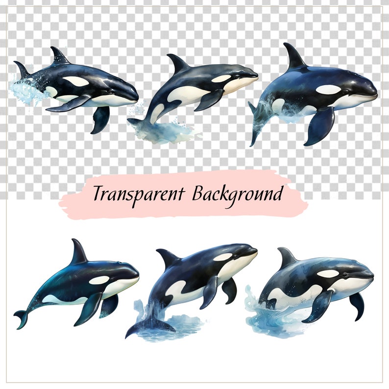 Orca Clipart Killer Whale Clipart Orca Png North Pole - Etsy