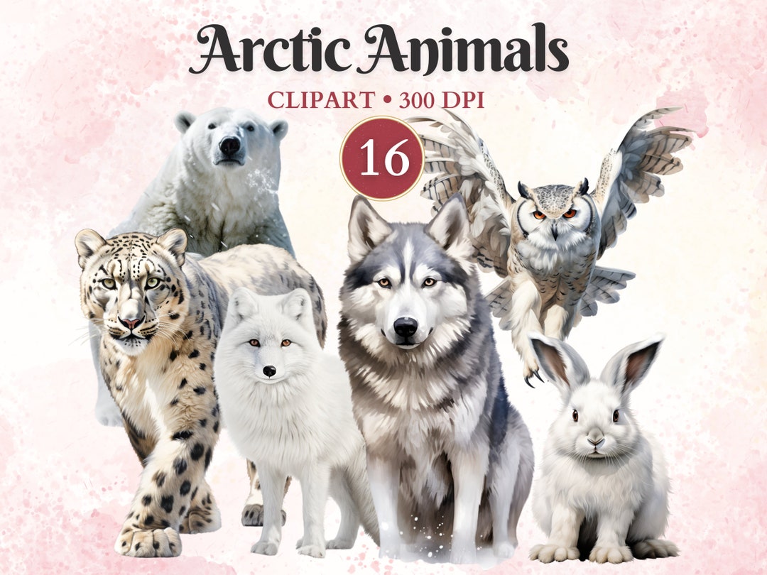 Arctic Animals Clipart, White Fox, Polar Animals, Polar Bear Png, North ...