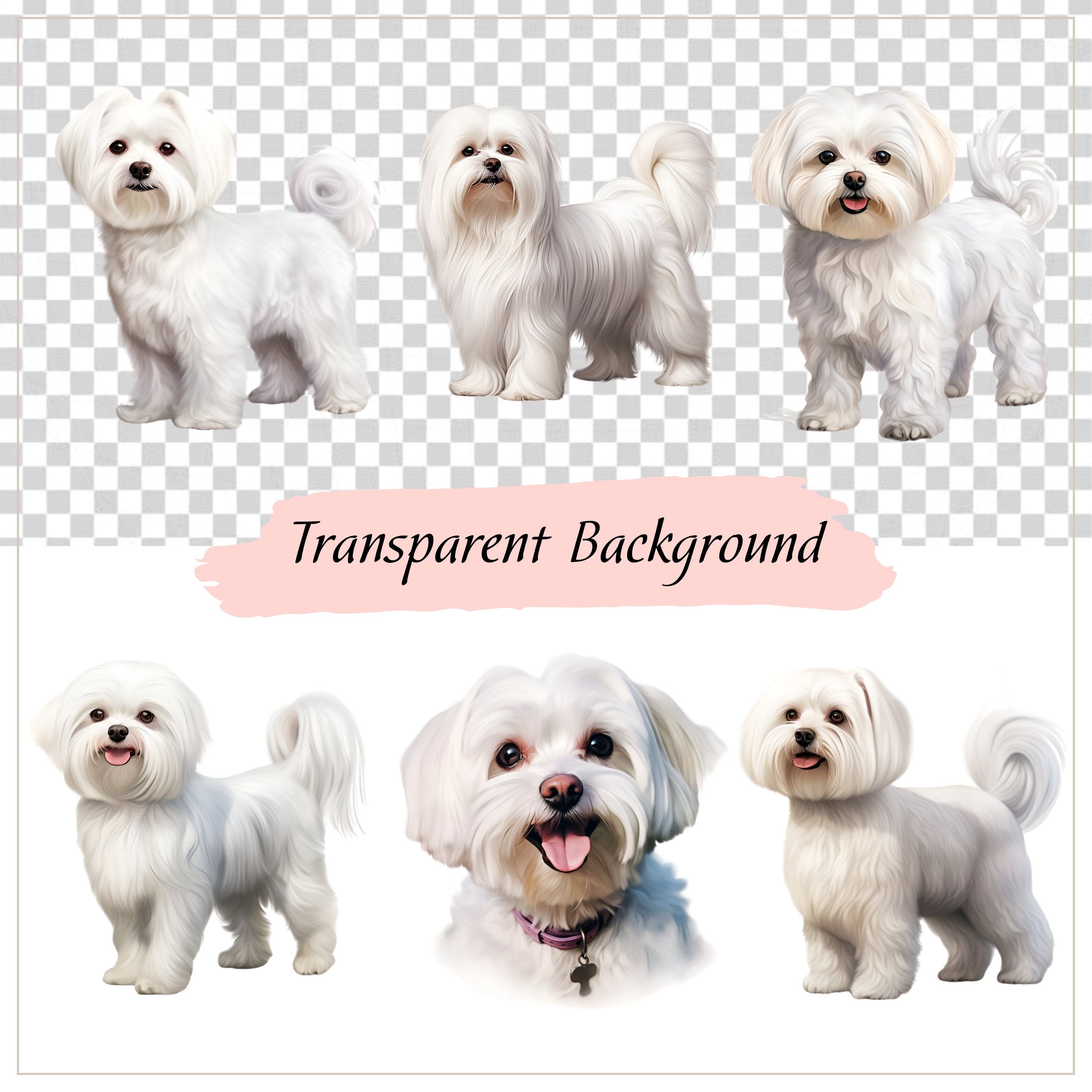 Maltese Clipart, Cute Maltese Digital Art, Pet Graphics, Dog Vector Art ...