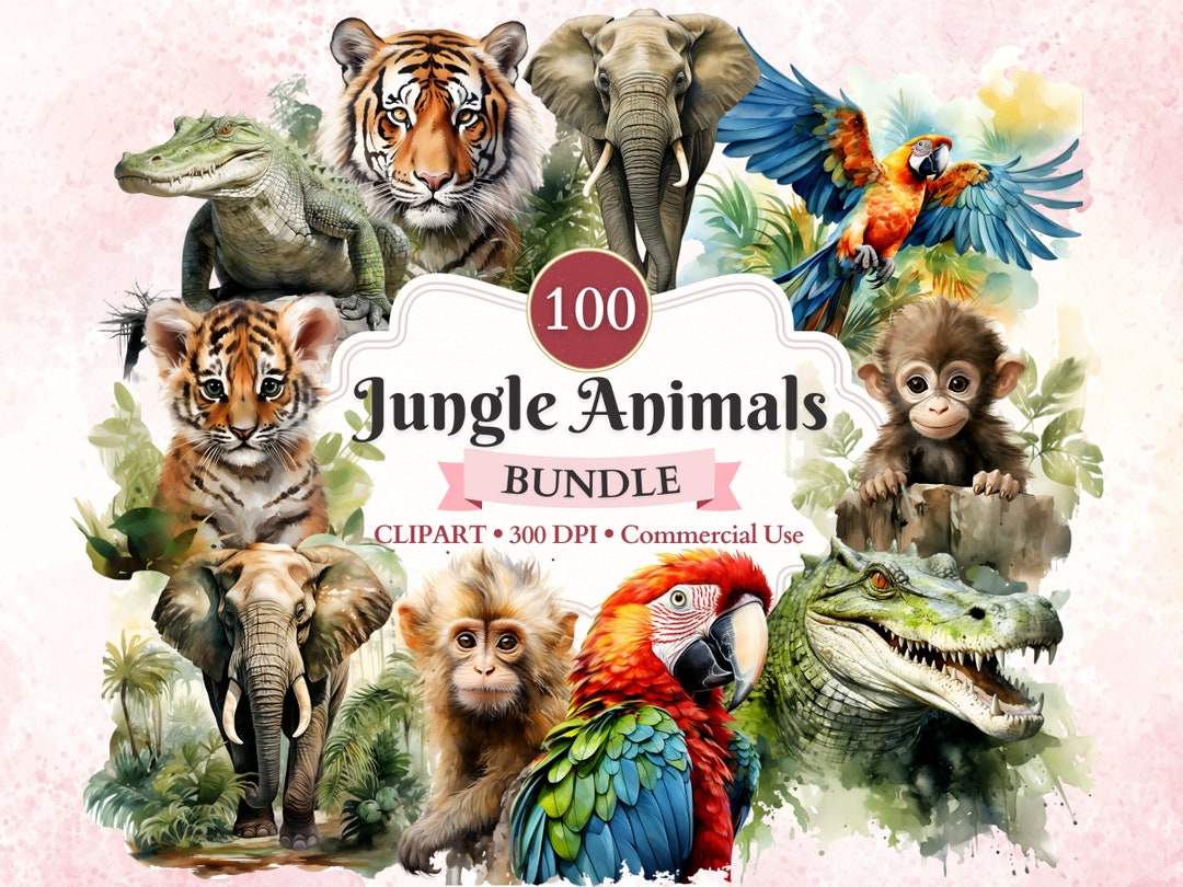 Jungle Animals Clipart Bundle, Forest Animal, Woodland Animal, Jungle ...