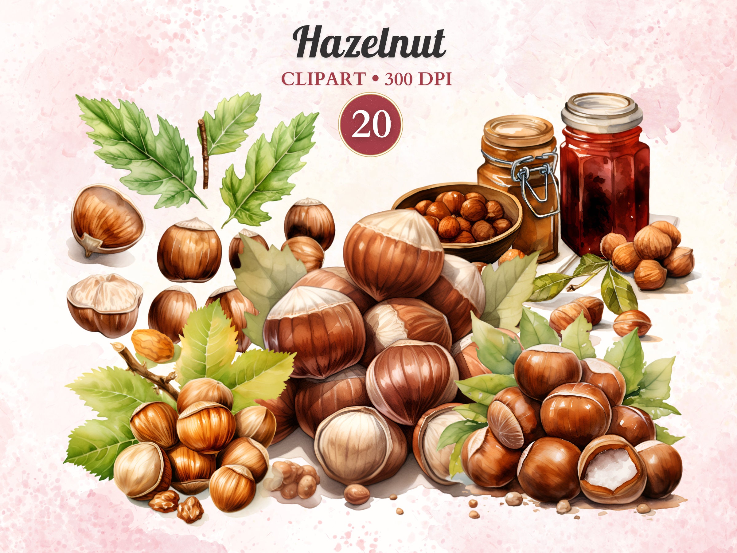 Hazelnut Clipart, Nuts Illustration, Healthy Food, Healthy Snack, Dried ...