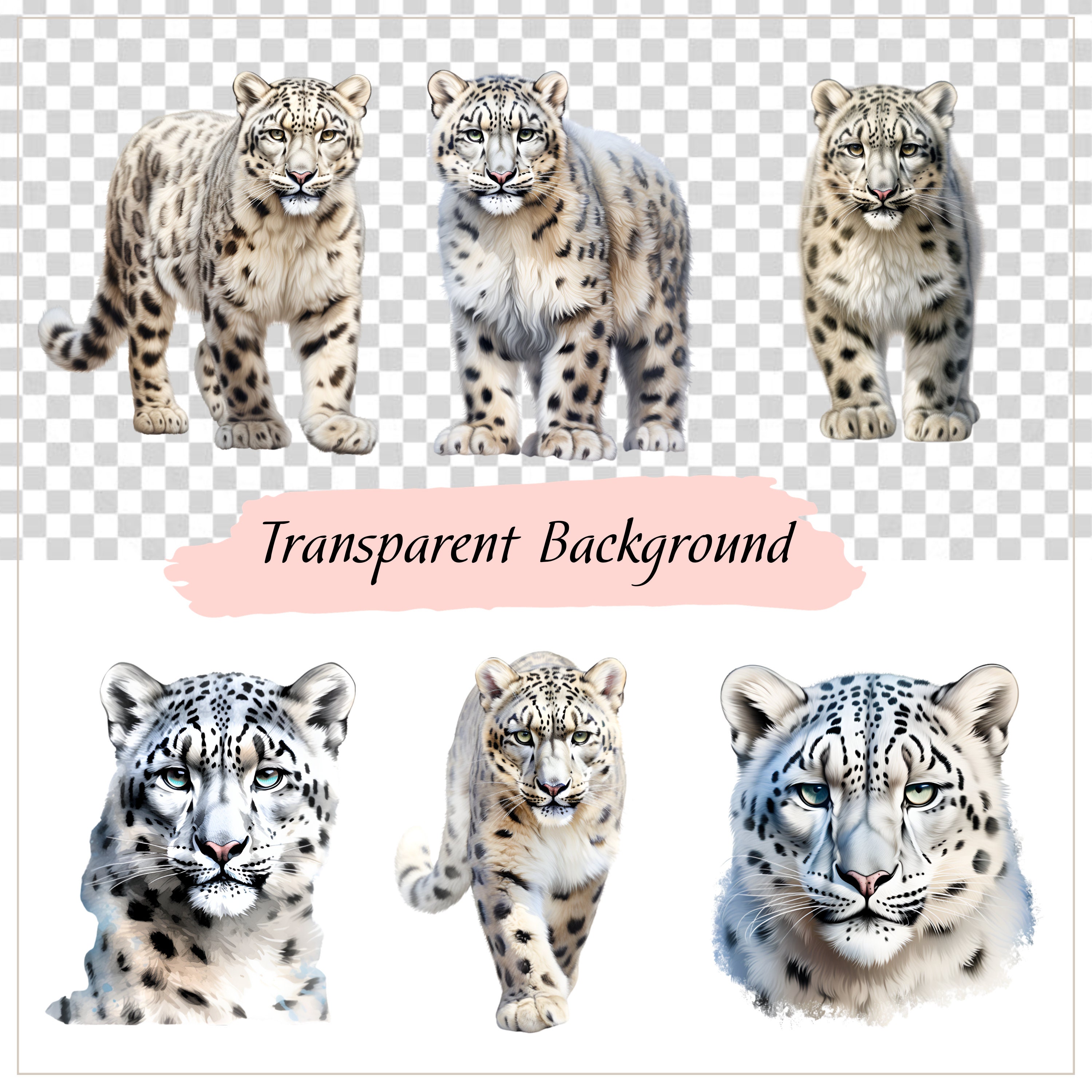 Snow Leopard Clipart Snow Leopard Artwork Winter Animals - Etsy