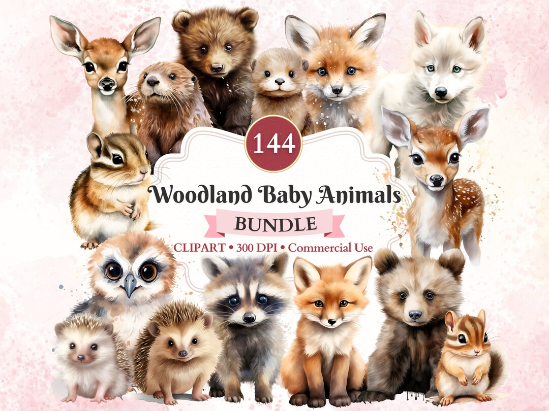 Woodland Baby Animals Clipart Bundle, Forest Animals, Fox, Bear, Wolf ...