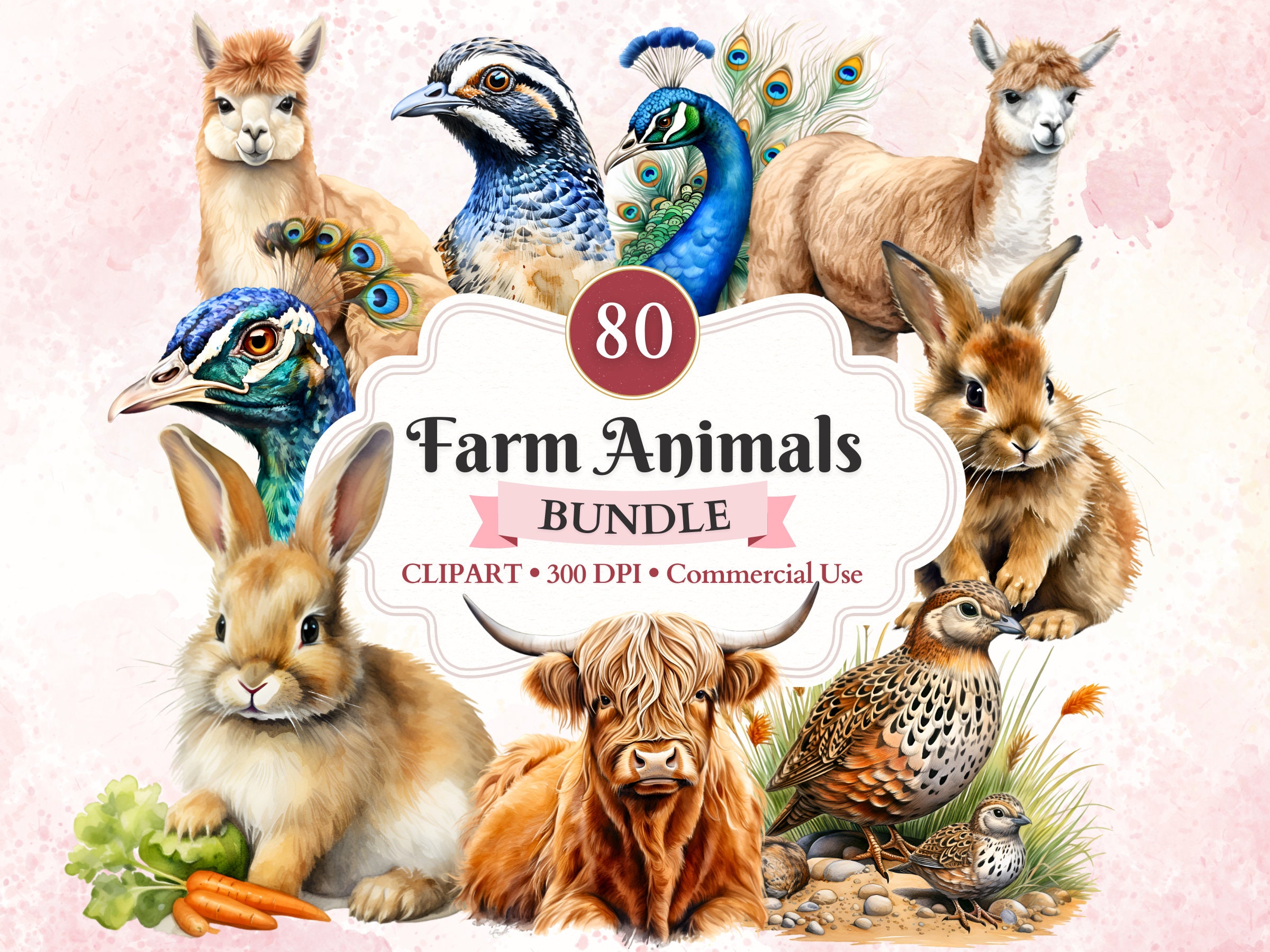 Farm Animals Clipart Bundle, Farm Animals Images, Rabbit, Alpaca ...