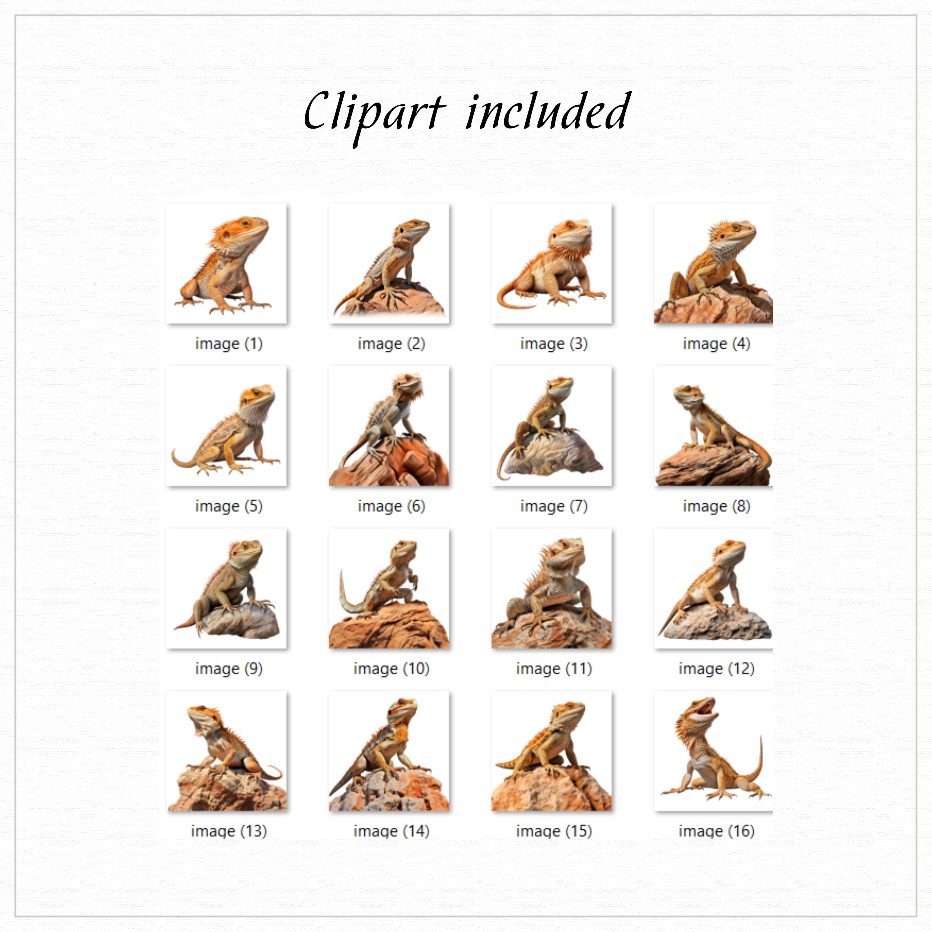 Bearded Dragon Clipart, Australian Animals, Lizard Vector, Dragon ...