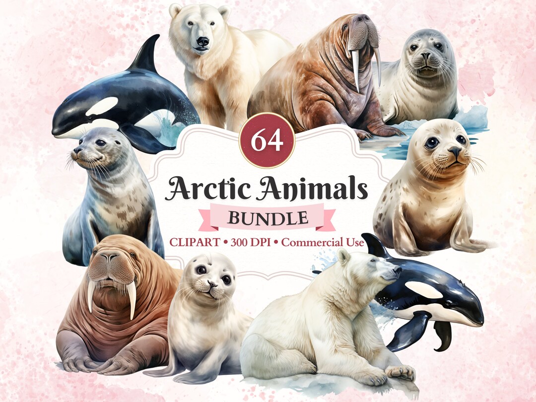 Arctic Animals Clipart Bundle, North Pole, Polar Bear, Walrus, Seal ...