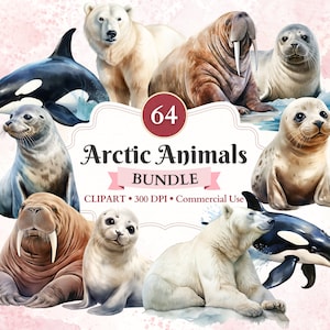 Arctic Animals Clipart Bundle, North Pole, Polar Bear, Walrus, Seal ...
