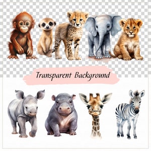 Safari Baby Animals Clipart Bundle, Lion, Zebra, Elephant, Giraffe ...