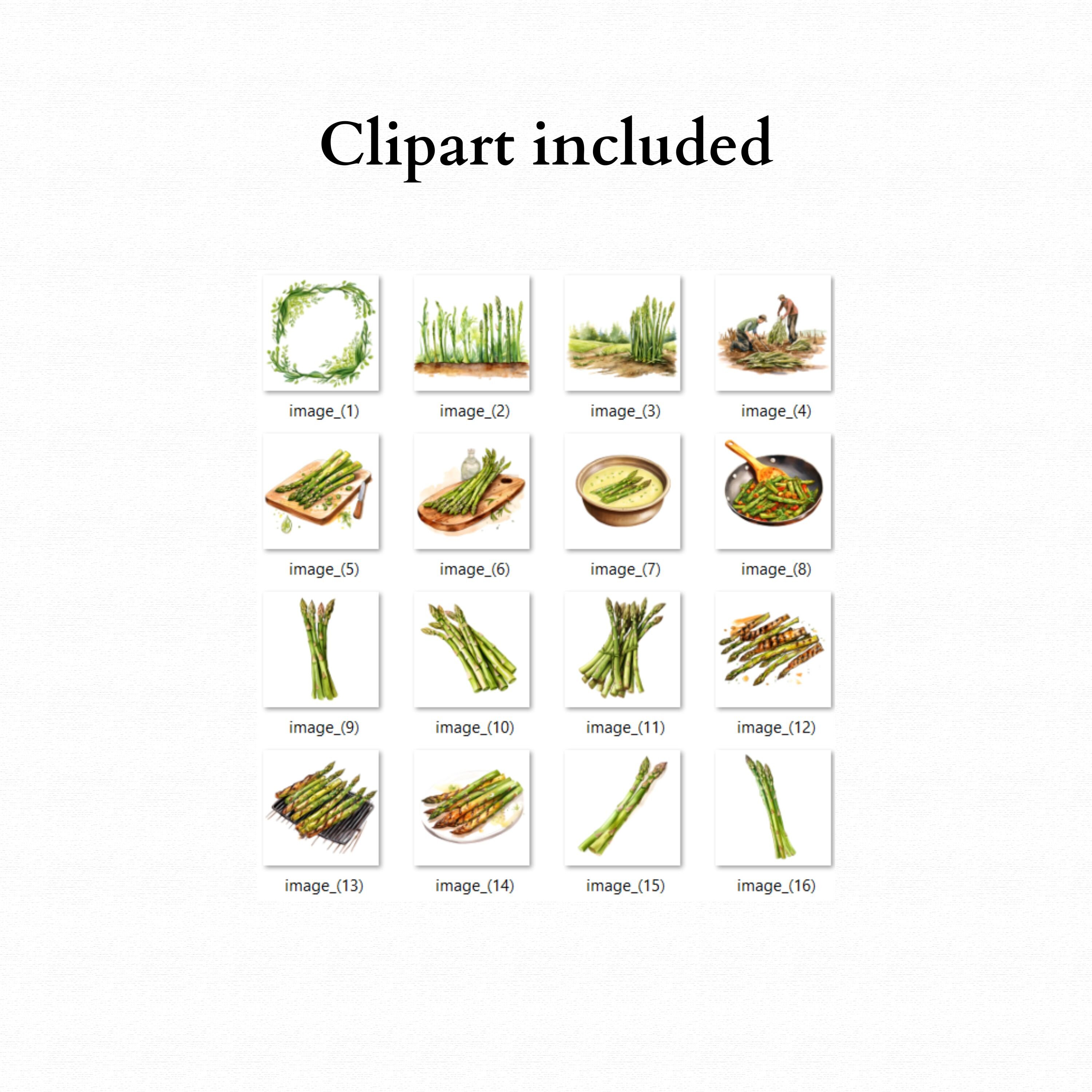 Asparagus Clipart, Watercolor, Vegetables Png, Healthy Food, Veggie ...