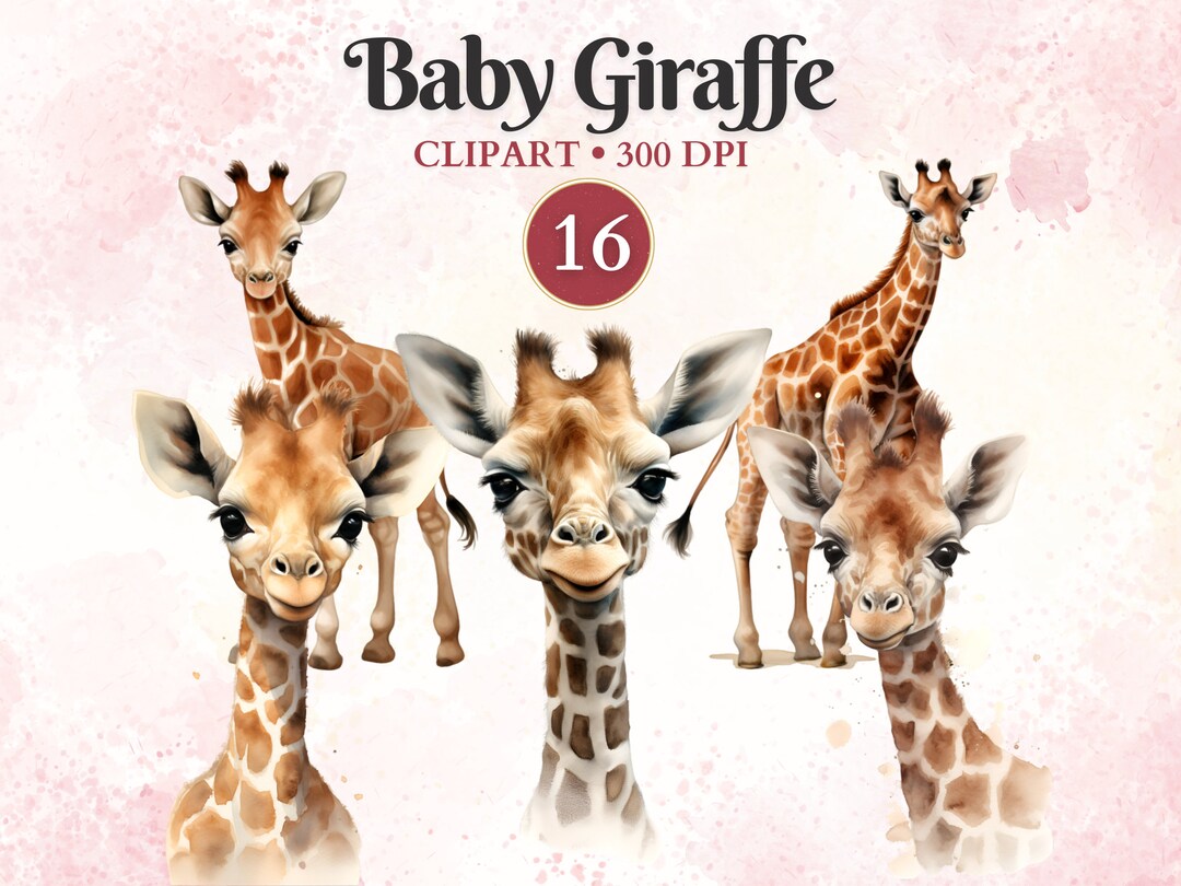 Baby Giraffe Clipart, Giraffe Png, Safari Animal, Baby Safari Png ...