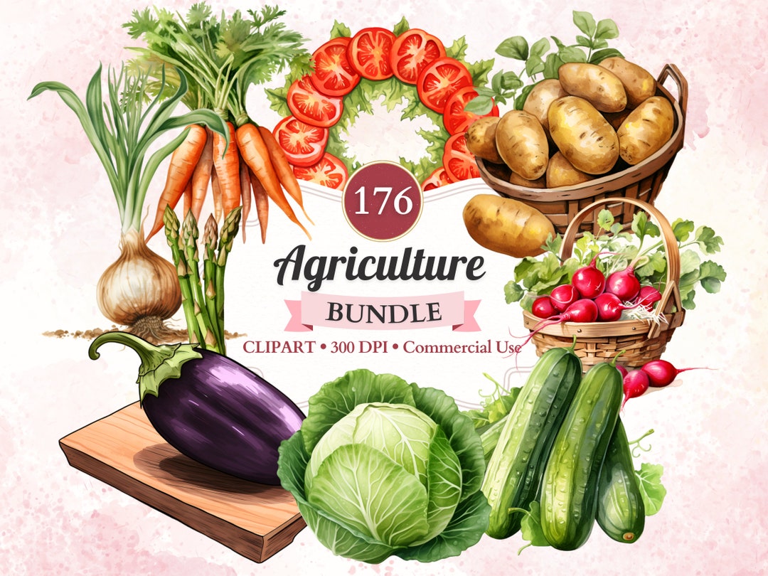 Agriculture Clipart Bundle, Vegetables, Healthy Food Png, Veggie, Vegan ...