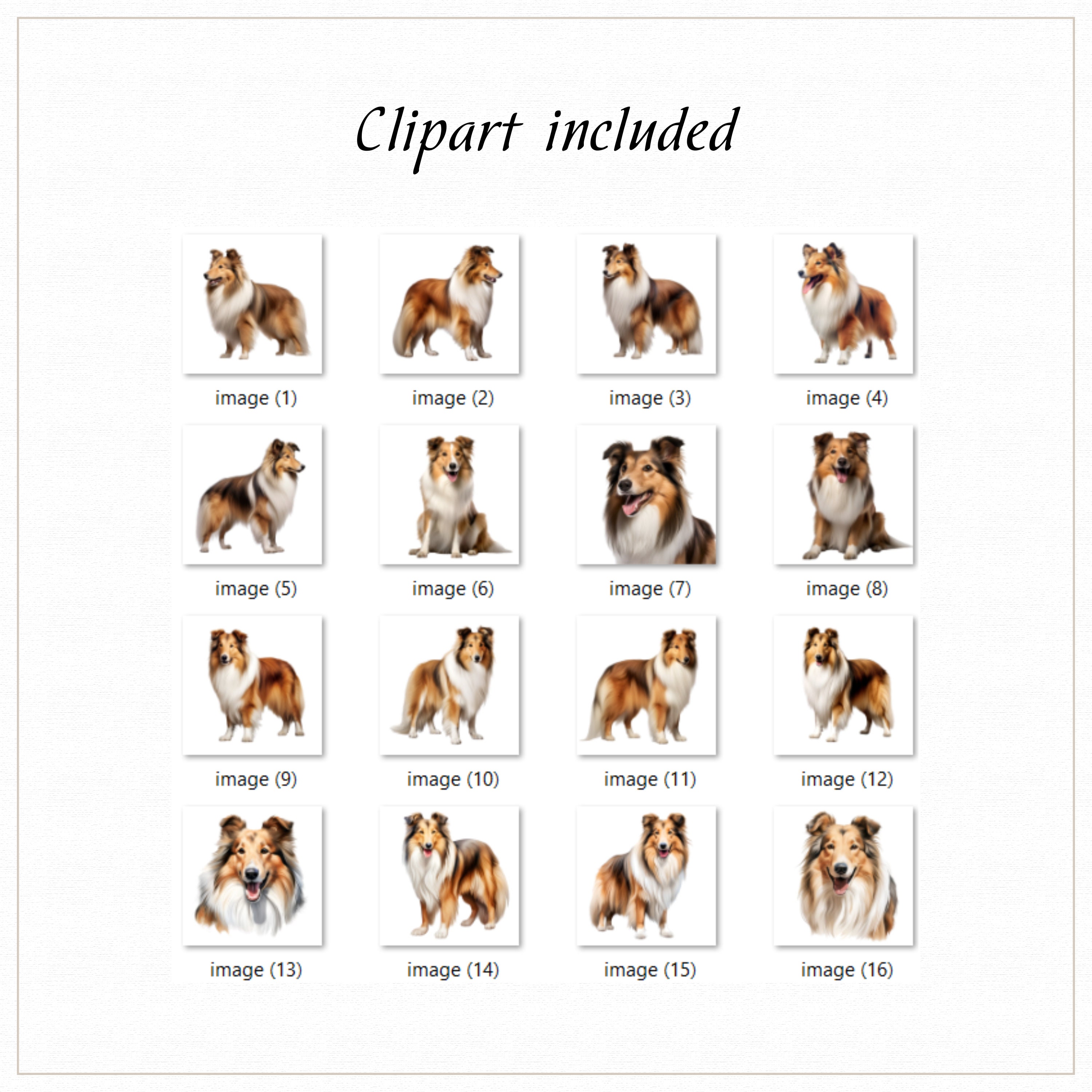 Shetland Sheepdog Clipart, Collie Clipart, Herding Dog Art, Pet Graphics, Pet Vector Art, Canine ...