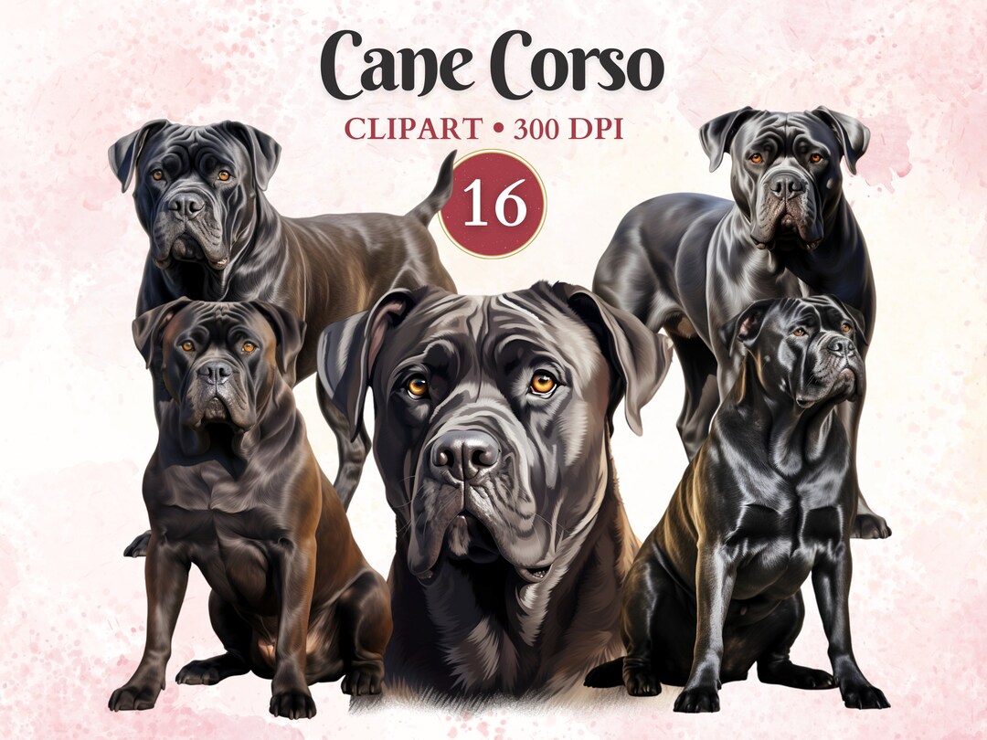 Cane Corso Clipart, Cane Corso Png, Dog Silhouette Clip Art, Pet ...
