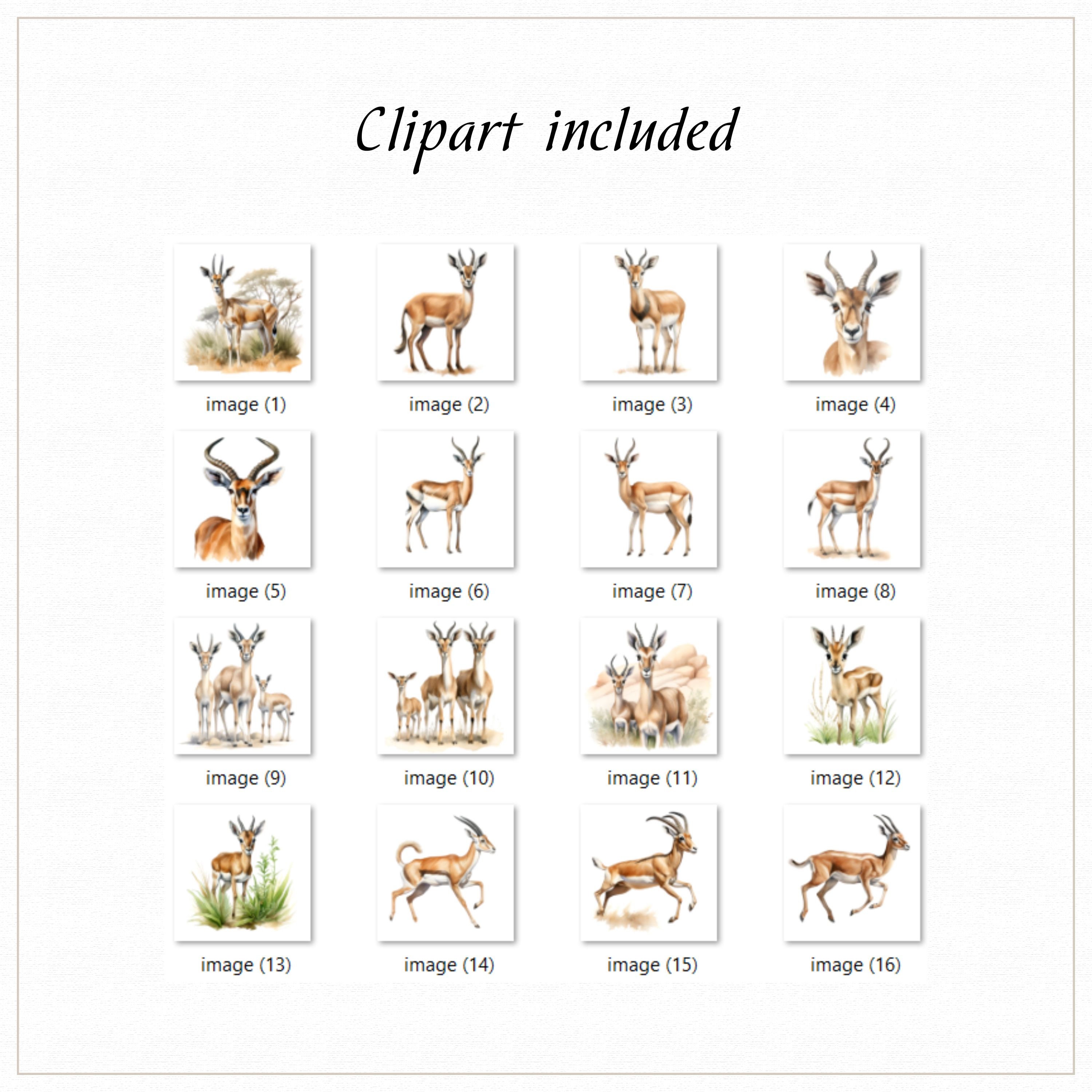 Gazelle Clipart, Gazelle Png, Gazelle Silhouette, Watercolor Safari ...