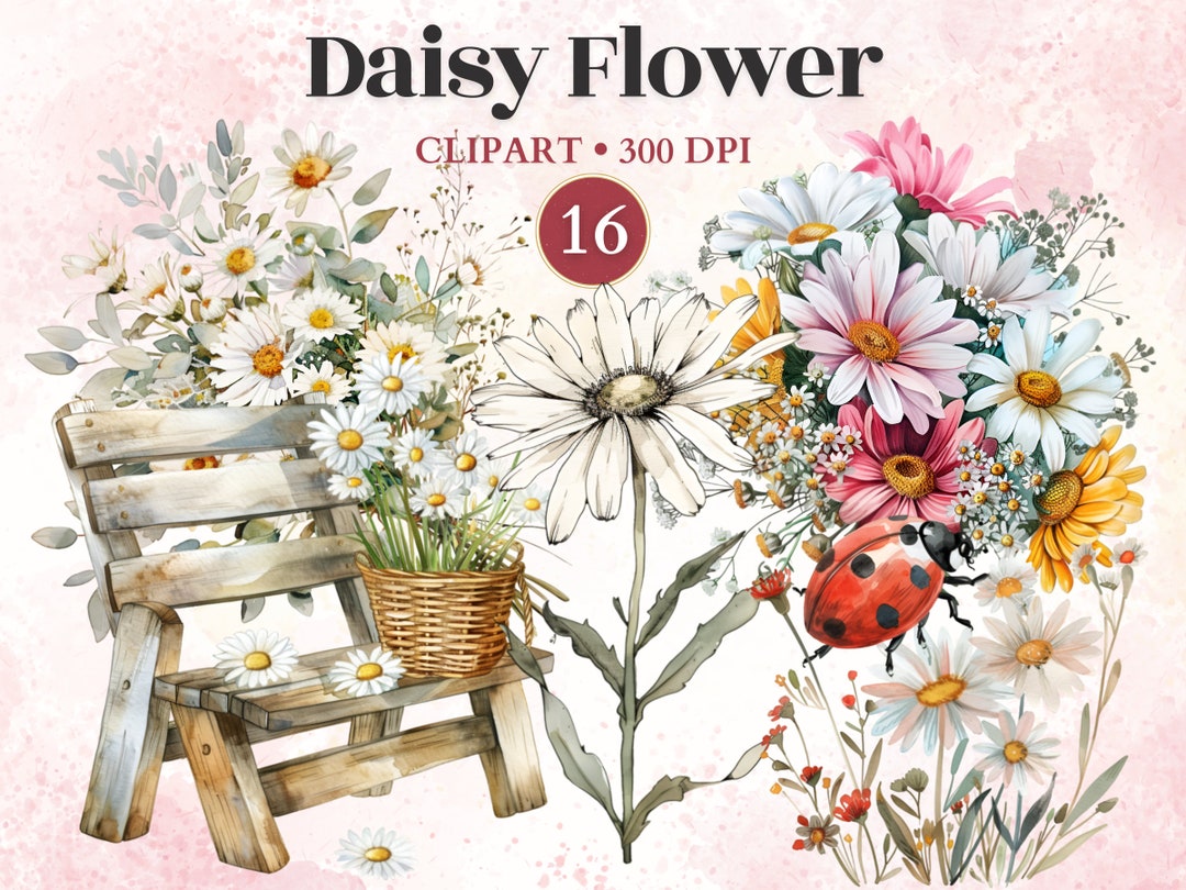 Daisy Flower Clipart, Spring Sublimation, Floral Elements, Flower ...