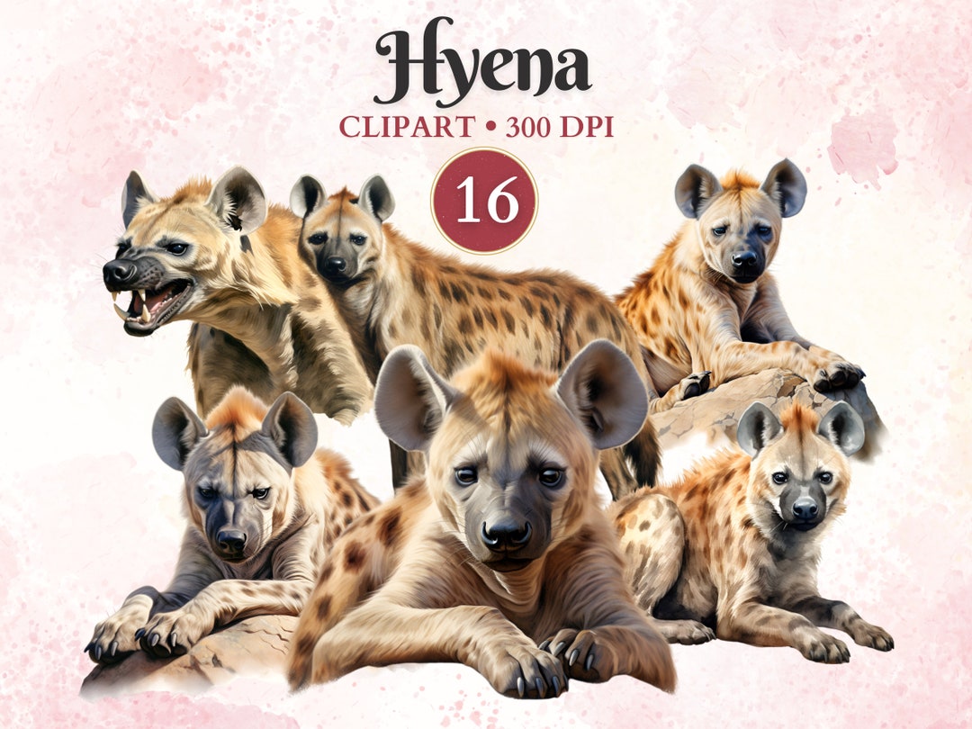 Hyena Clipart, Safari Clipart, Zoo Animals Clipart, Savannah, African ...