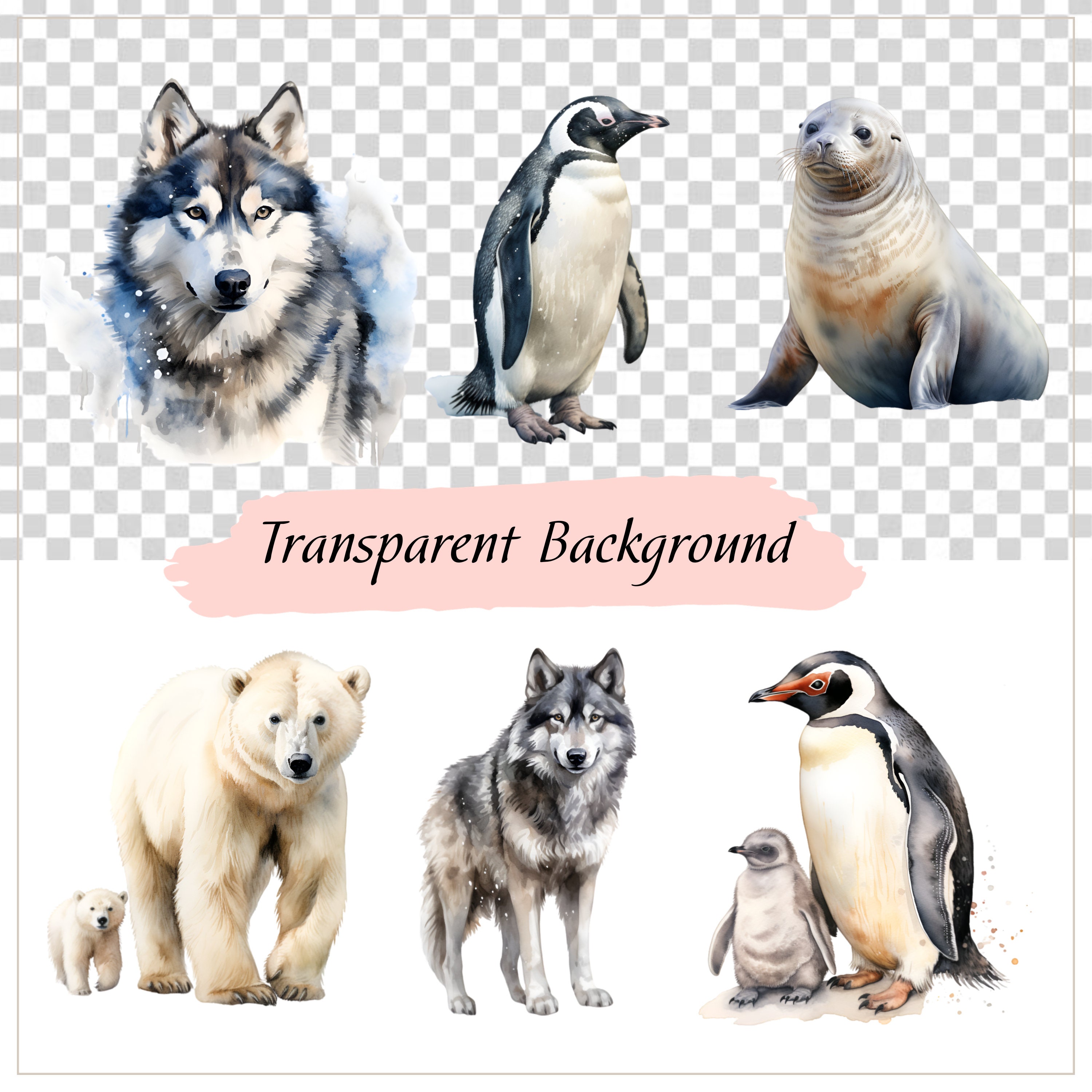 Arctic Animals Clipart, White Fox, Polar Animals, Polar Bear Png, North ...