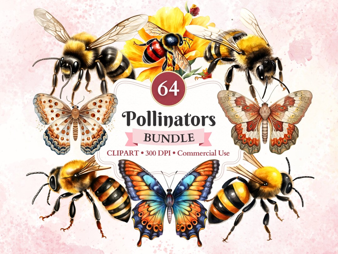Pollinators Clipart Bundle, Insect Clipart, Silhouette, Entomology ...