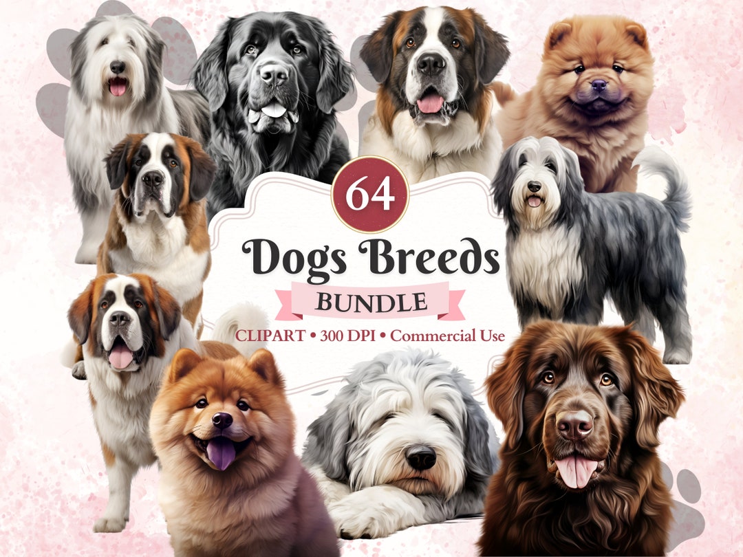 Dogs Breeds Clipart Bundle, Sheepdog, Saint Bernard, Newfoundland, Chow ...