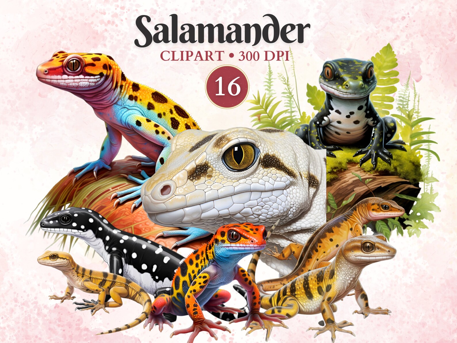 Salamander Clipart, Salamander Png, Salamander Vector, Amphibian ...