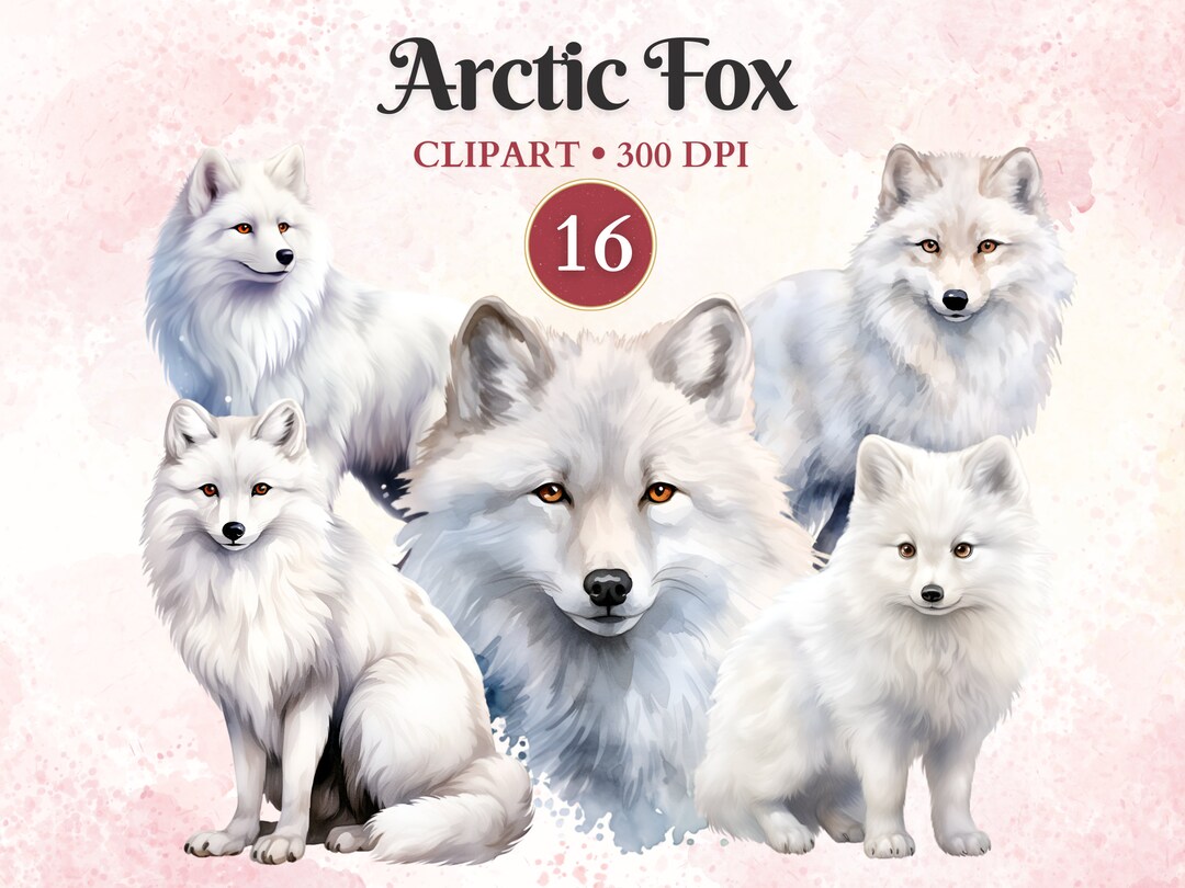 Arctic Fox Clipart, White Fox, Arctic Animals, Polar Animals, North ...