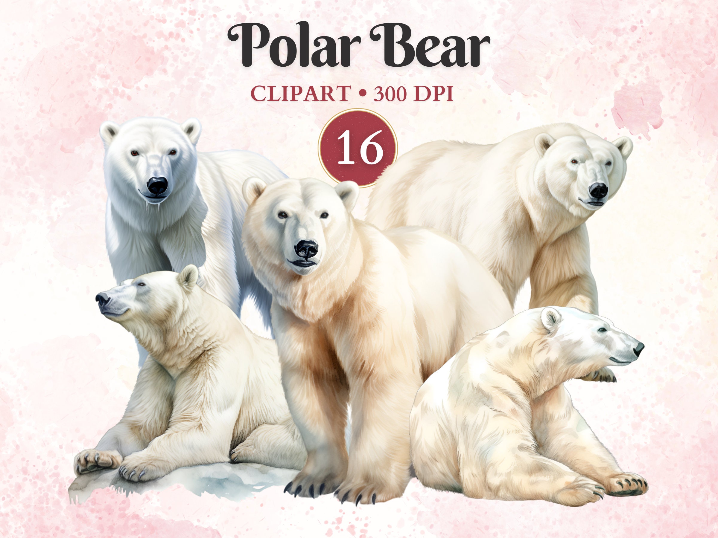 Polar Bear Clipart, Polar Bear Png, North Pole, Arctic Animals Clipart ...