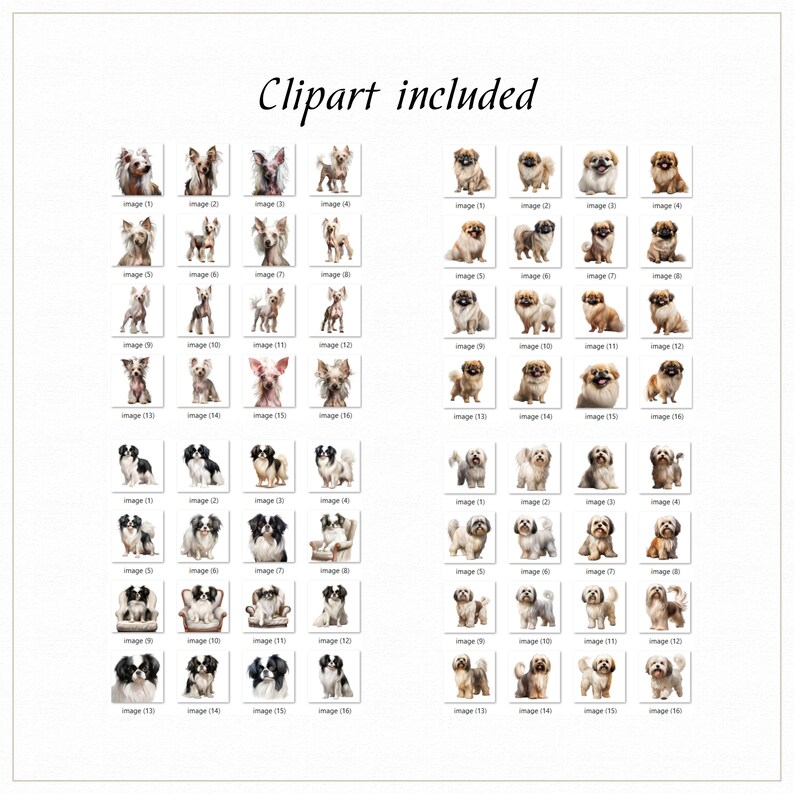 Dogs Breeds Clipart Bundle, Chinese Crested, Pekingese Dog, Japanese ...