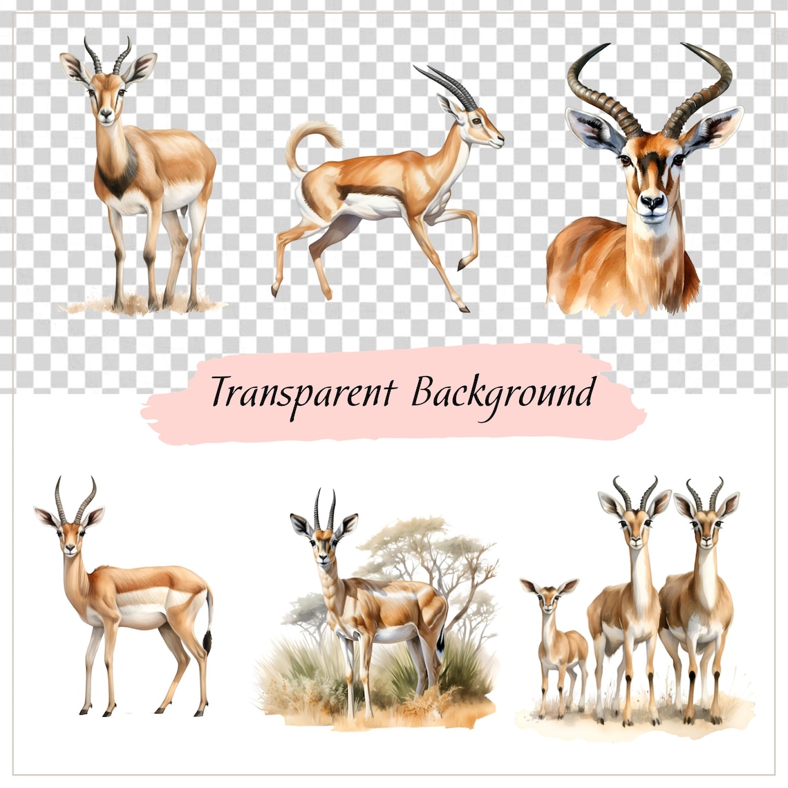Gazelle Clipart, Gazelle Png, Gazelle Silhouette, Watercolor Safari ...