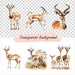 Gazelle Clipart, Gazelle Png, Gazelle Silhouette, Watercolor Safari ...