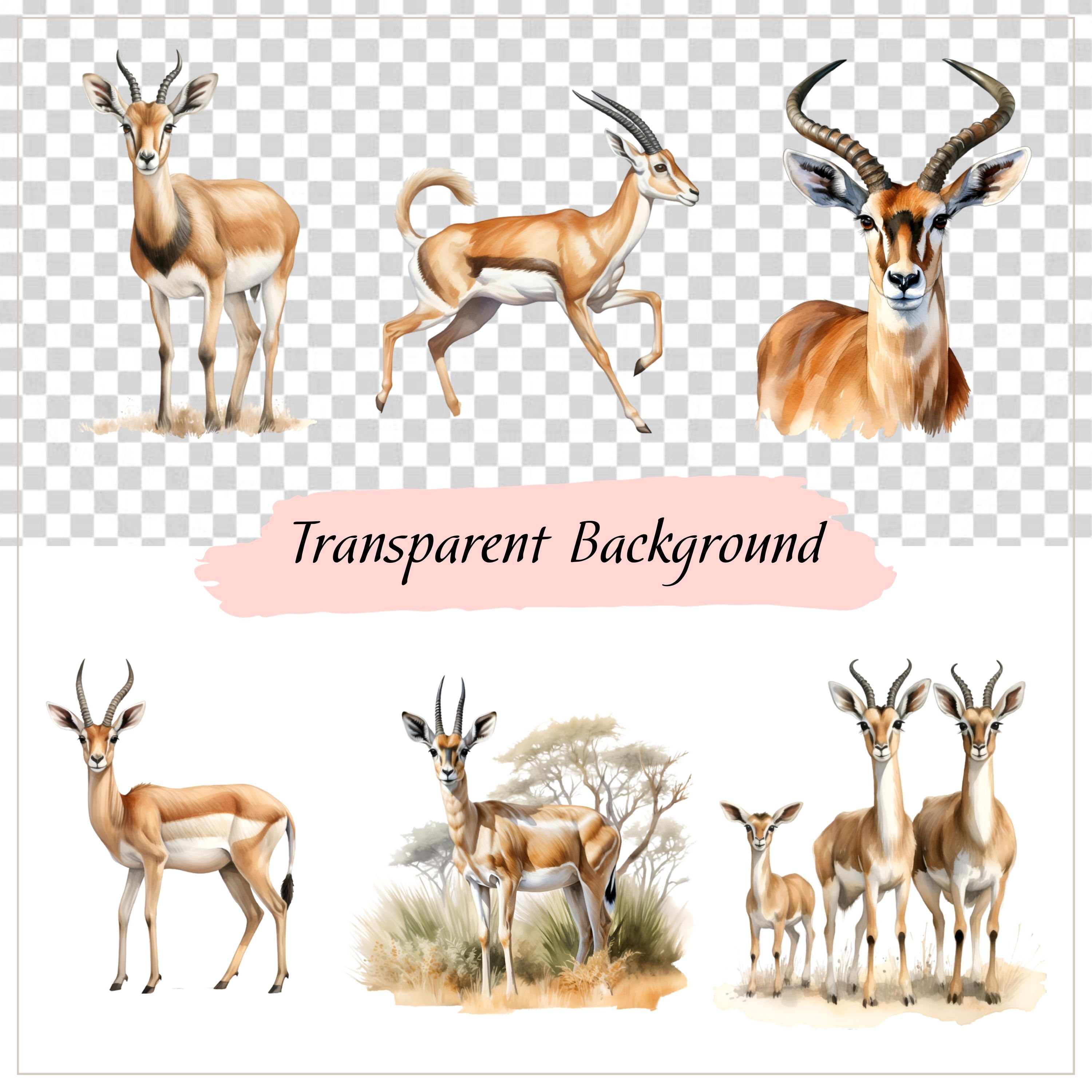 Gazelle Clipart, Gazelle Png, Gazelle Silhouette, Watercolor Safari ...
