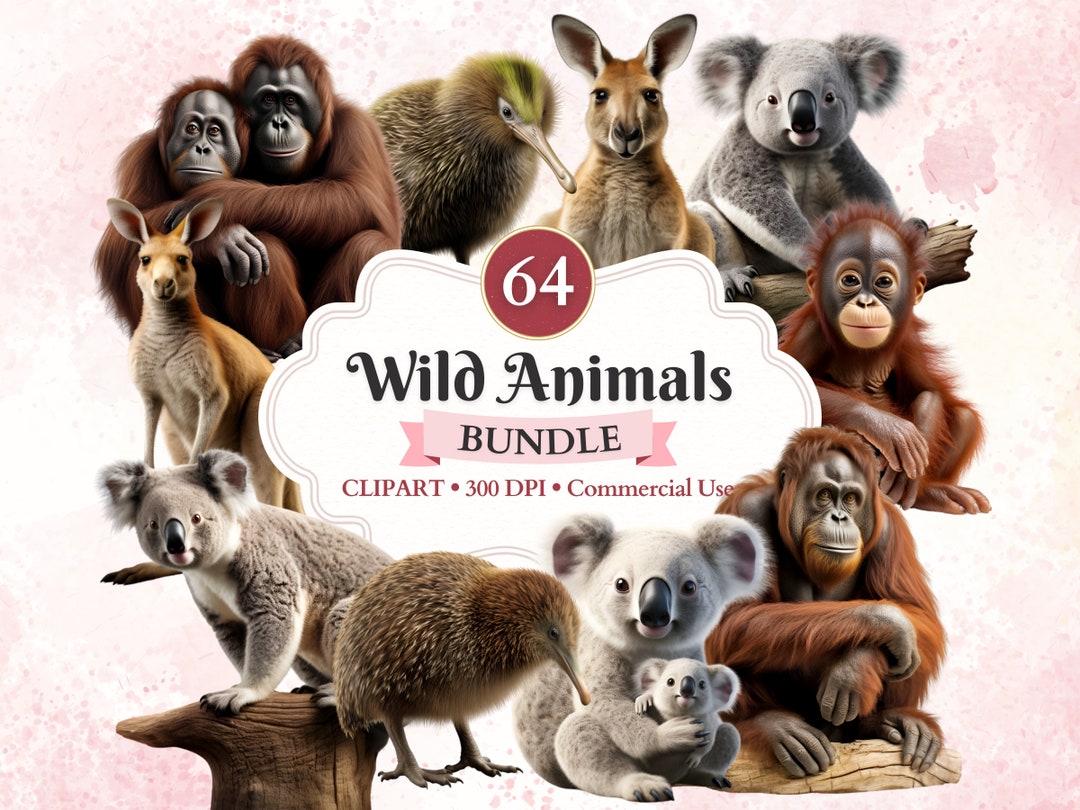 Wild Animals Clipart Bundle, Koala, Orangutan Png, Kangaroo, New ...