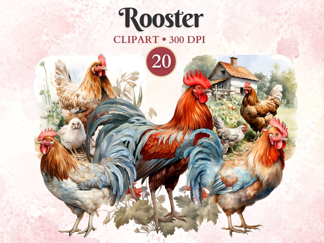 Rooster Clipart, Chicken, Watercolor Png, Farm Animals Clipart ...