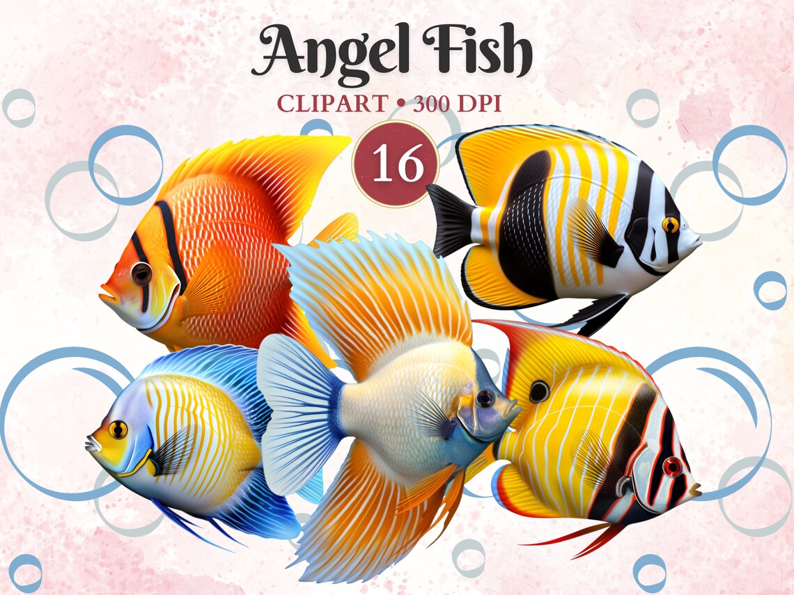 Angel Fish Clipart, Fish Png, Angelfish, Aquarium Clipart, Under the ...